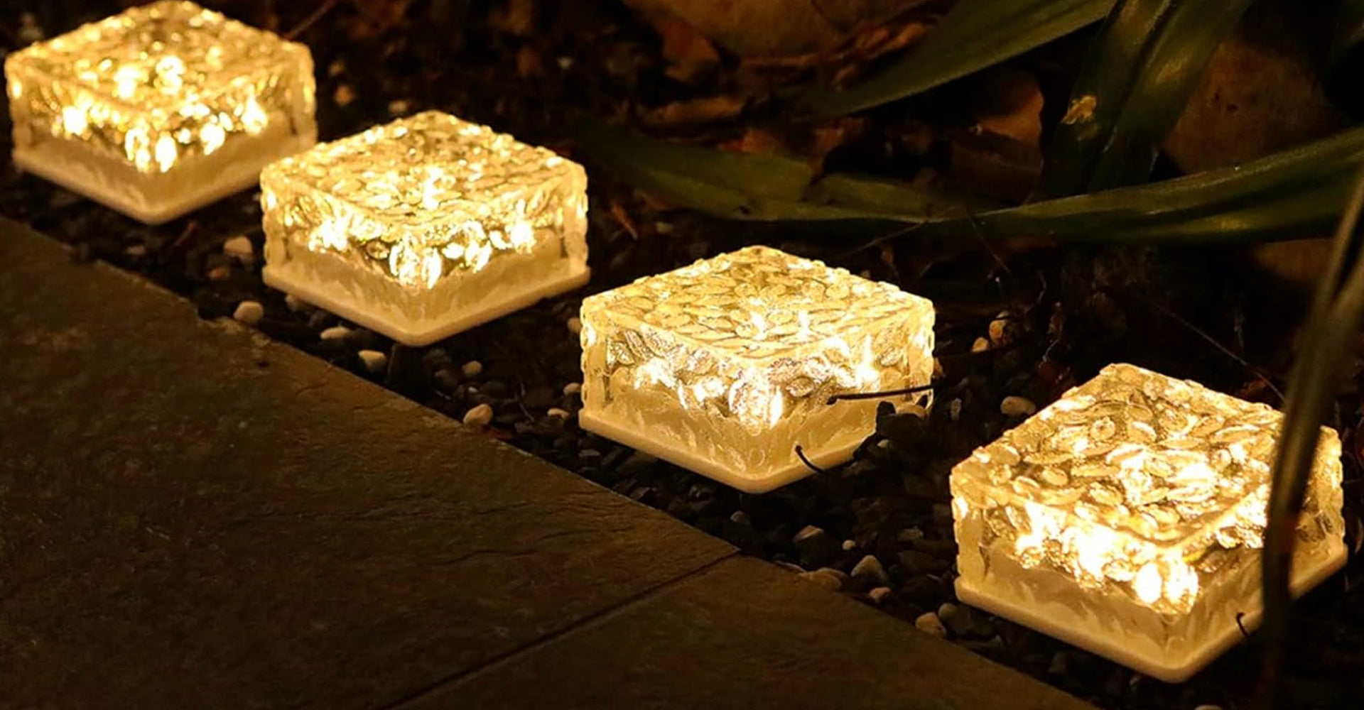 Illuminating Moments: A Genuine Exploration of Sakerplus's Lighting Co