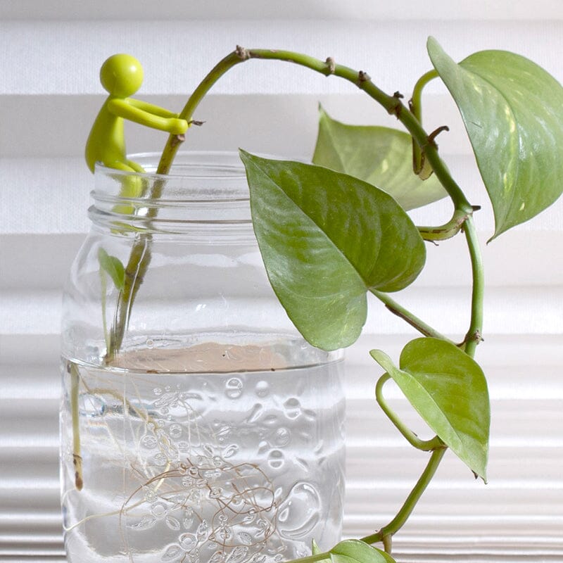 Plant Propagation Buddy – Sakerplus